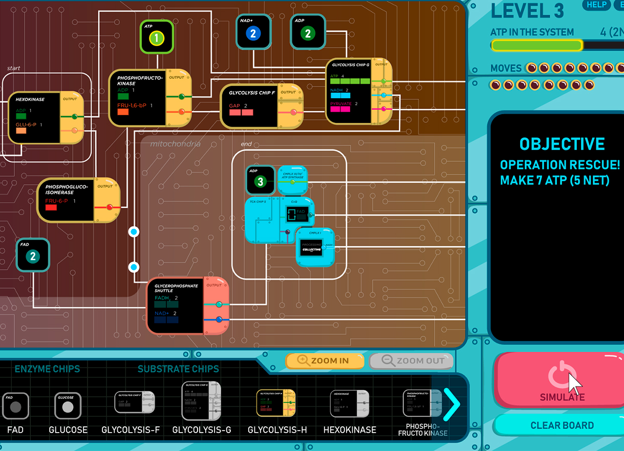 Visual and Interactive Media for Undergraduate Life Sciences - Open ...